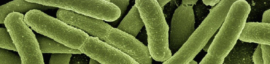 How To Manage Airborne Infection Control In Hospitals